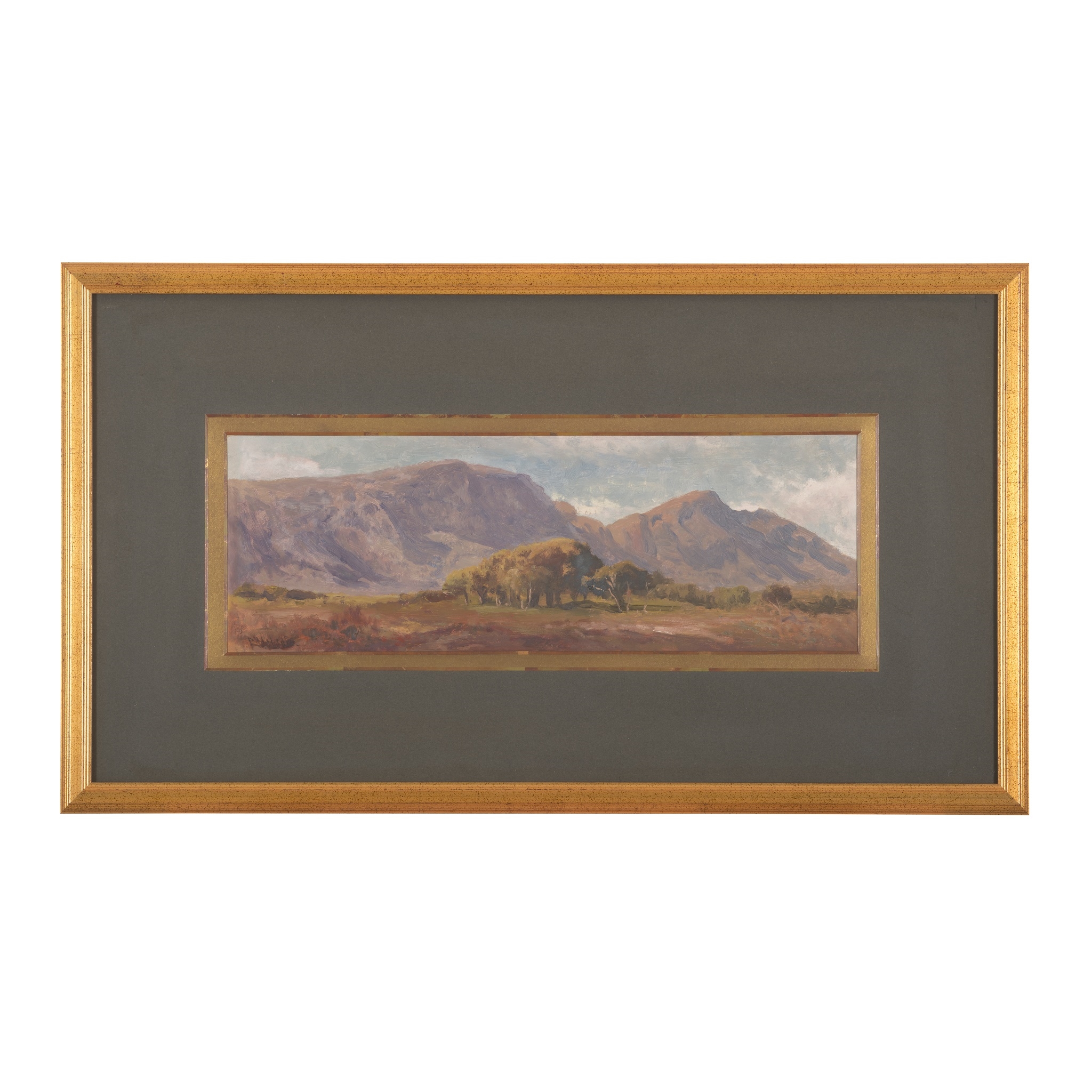 Edward Henry Holder | SOUTH AFRICAN PANORAMA | MutualArt