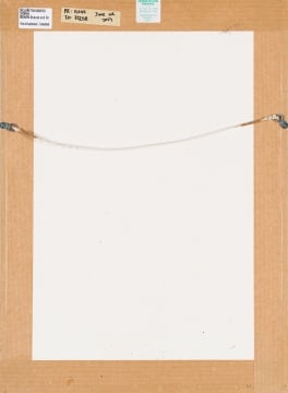 Stephen Allwright | The Ascension of Sam | MutualArt