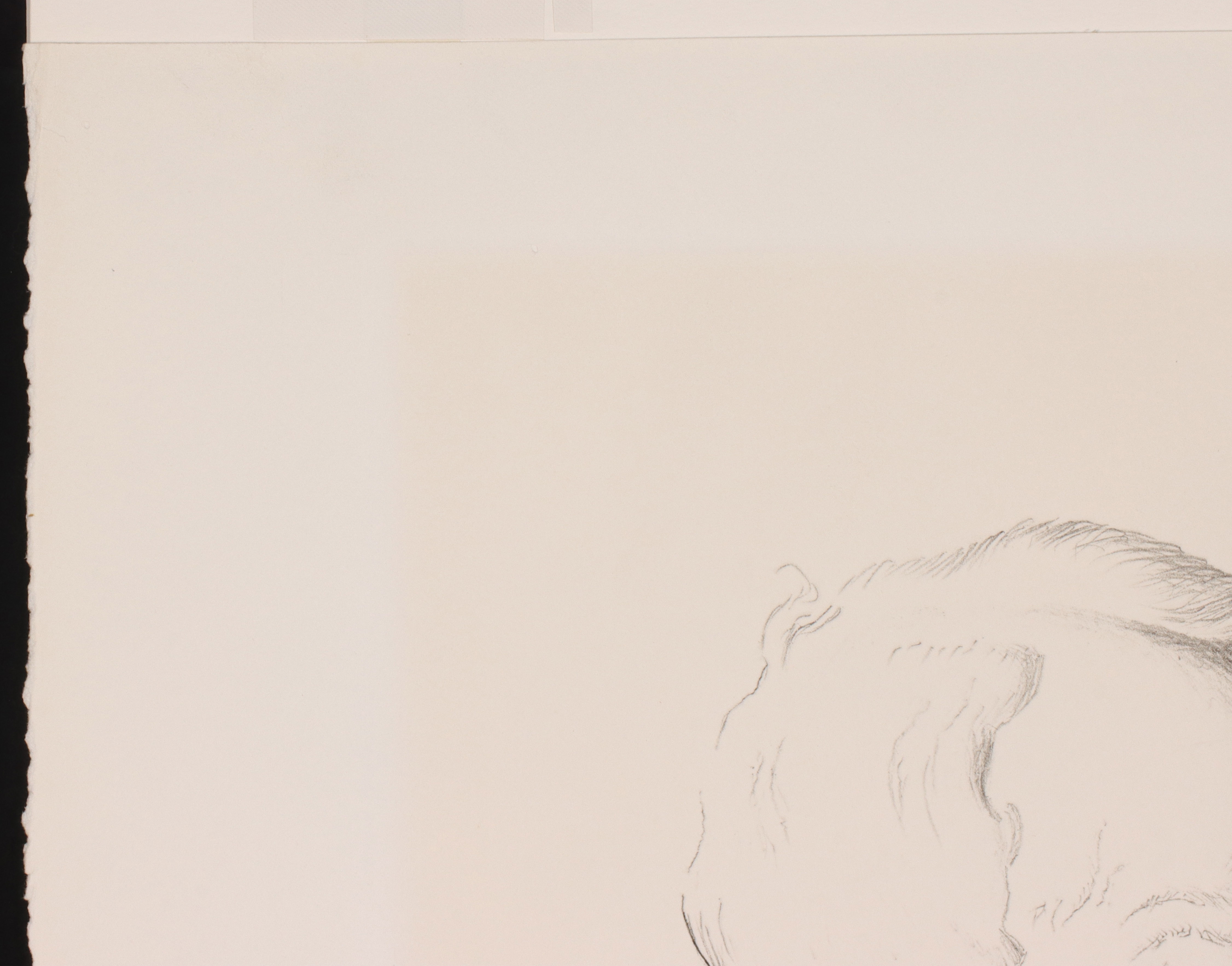 Thomas Hart Benton‏ | Mr. President (Portrait of Harry Truman at 86 ...