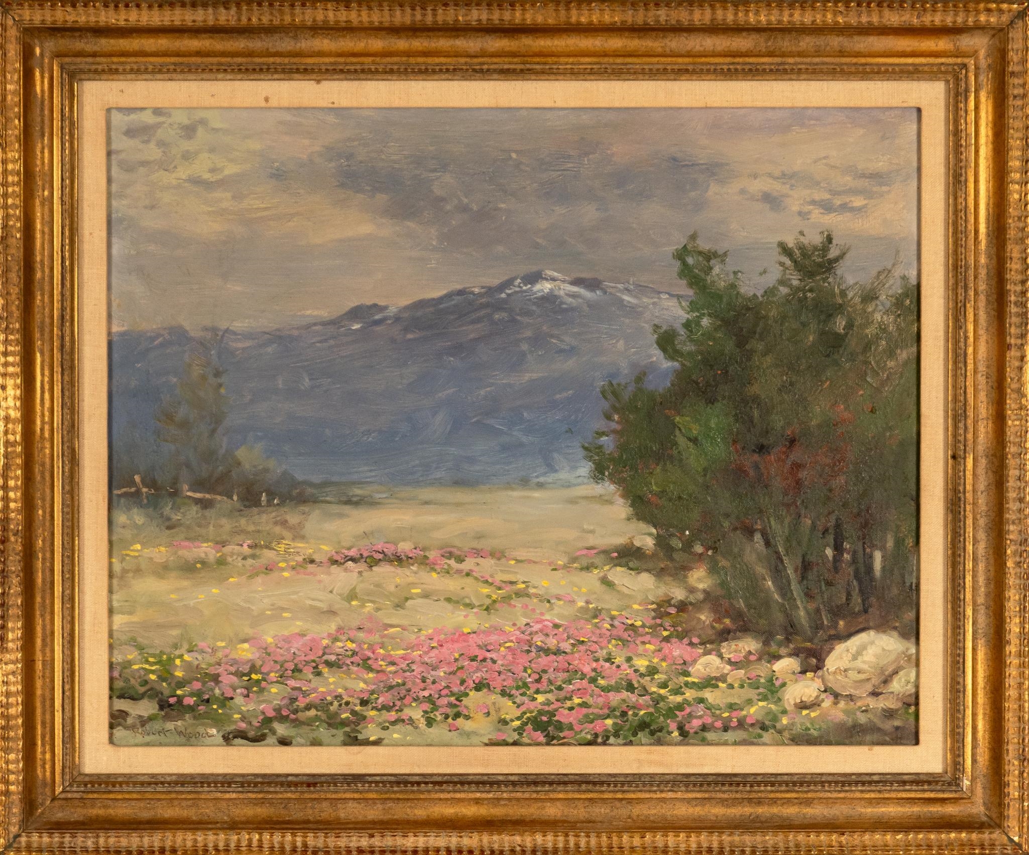 Robert W. Wood | Desert in Bloom, 1966 (1966) | MutualArt