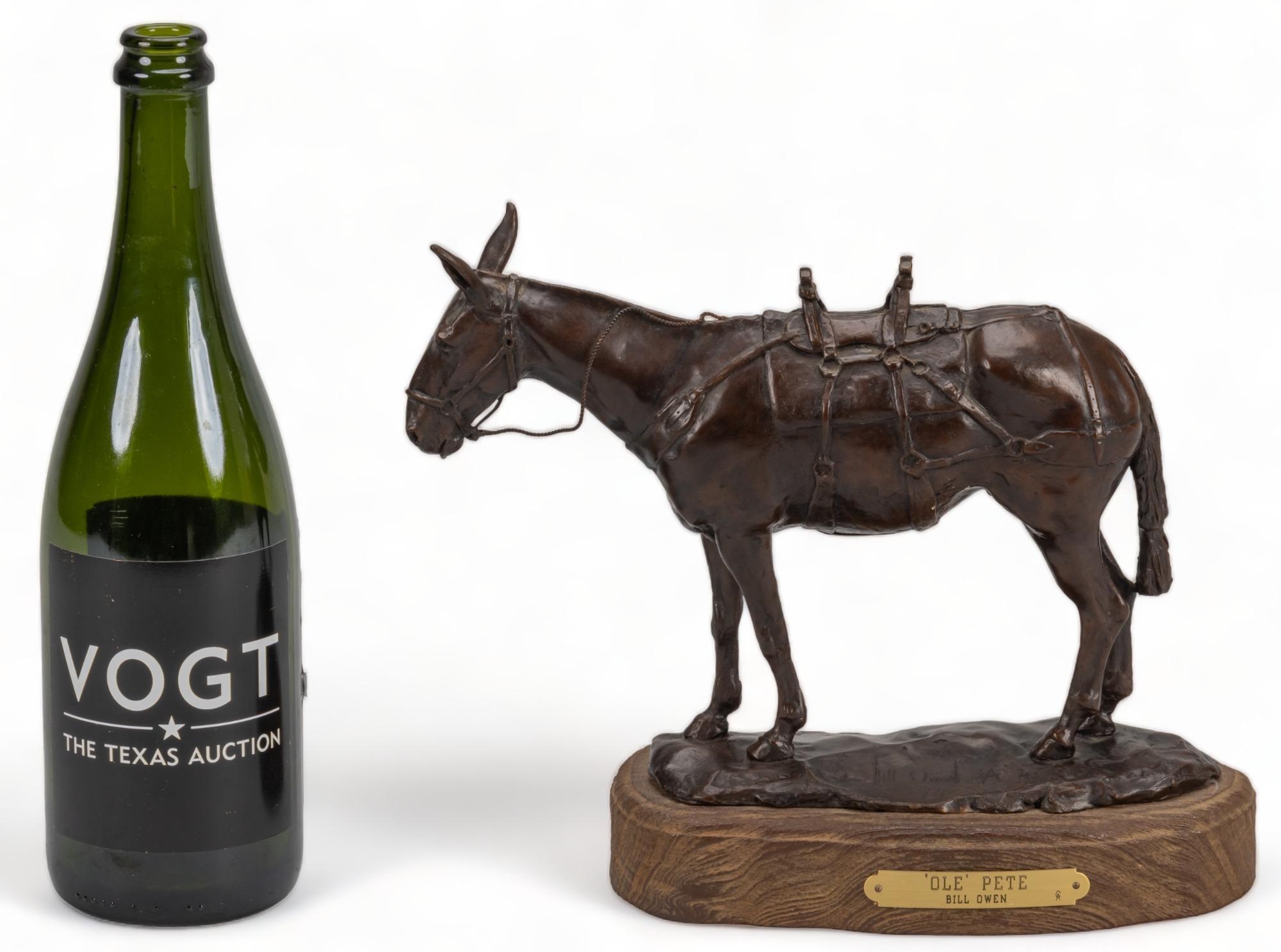 Bill Owen | Waiting to Rope (1983) | MutualArt