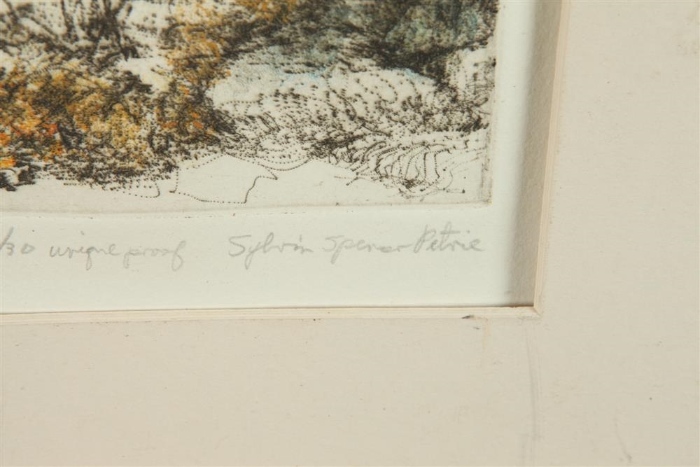 Sylvia Spencer Petrie | The Clearing | MutualArt