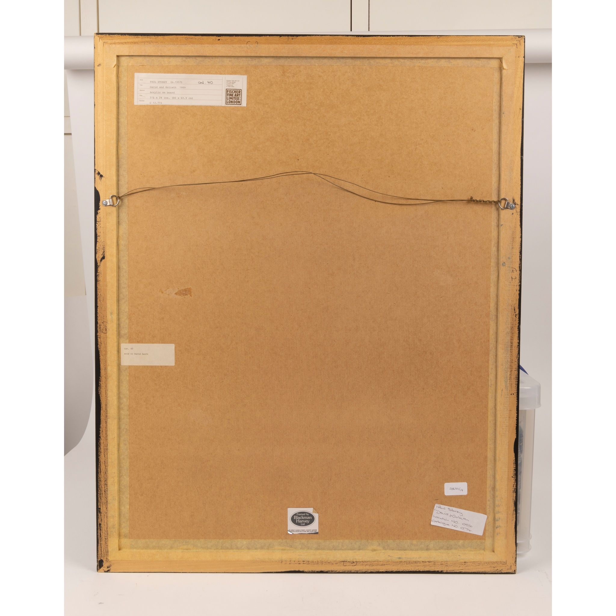 Paul Storey | David and Goliath | MutualArt