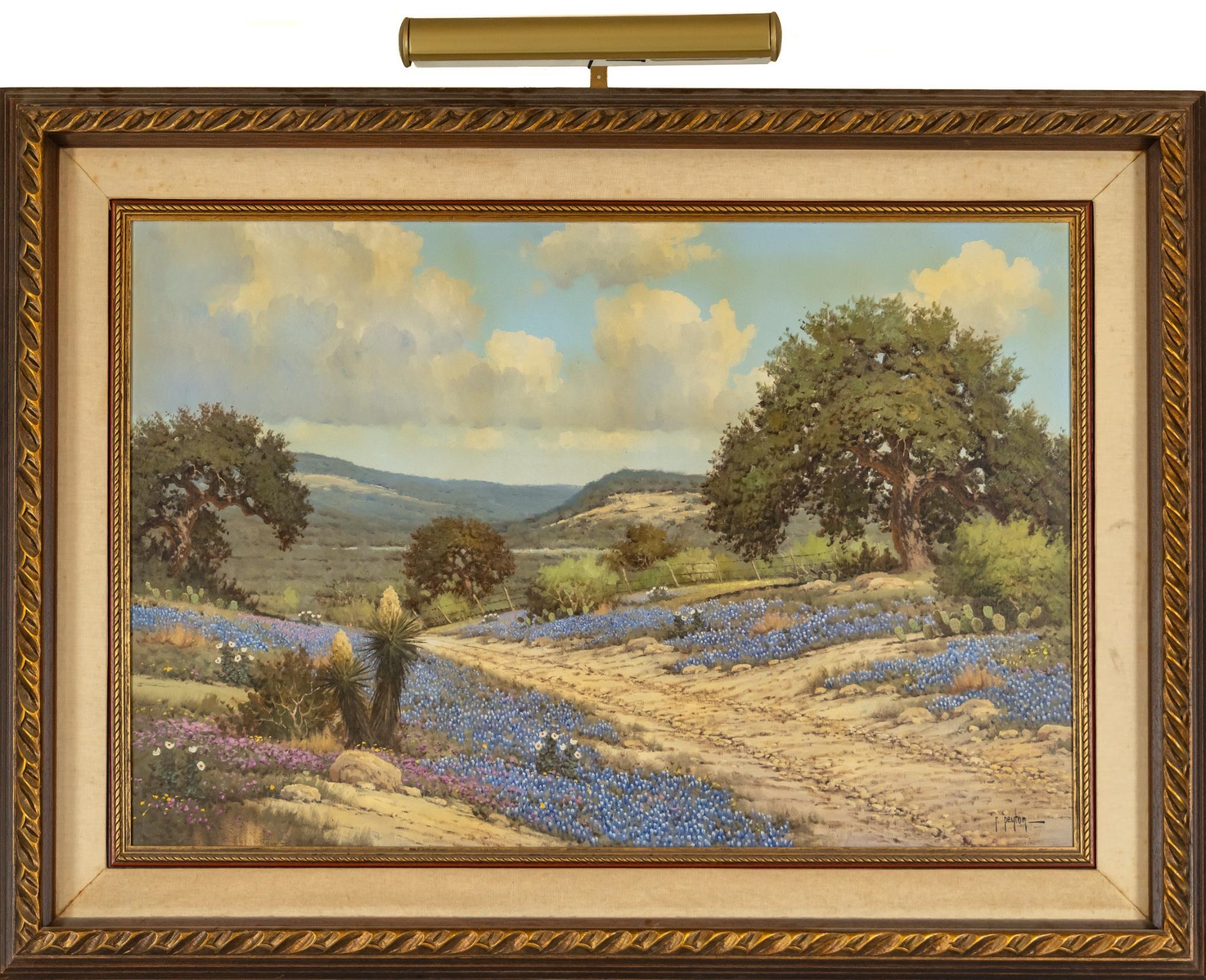 Randy Peyton | Field of bluebonnets and winecups with barbed wire ...