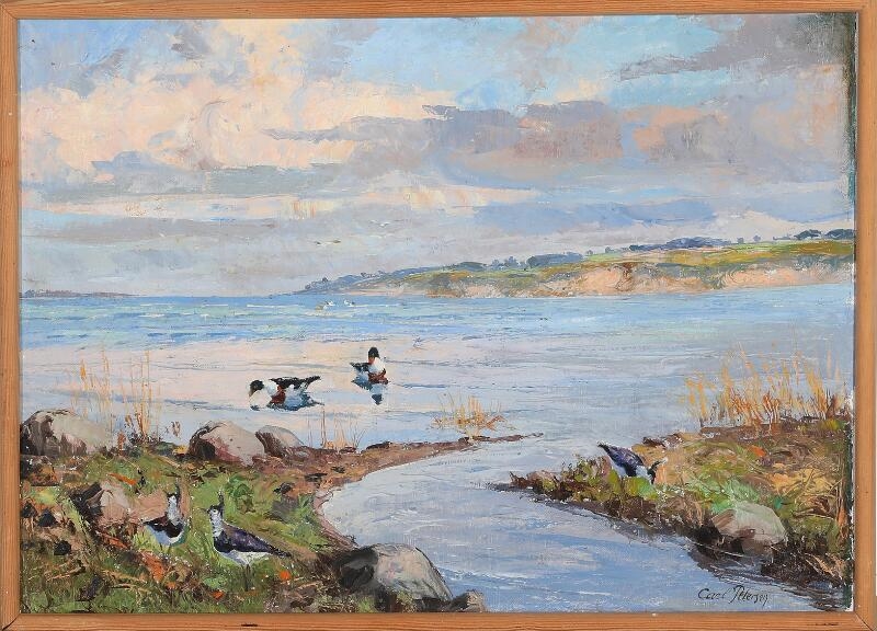 Carl Petersen | Fjord scenery with birds | MutualArt