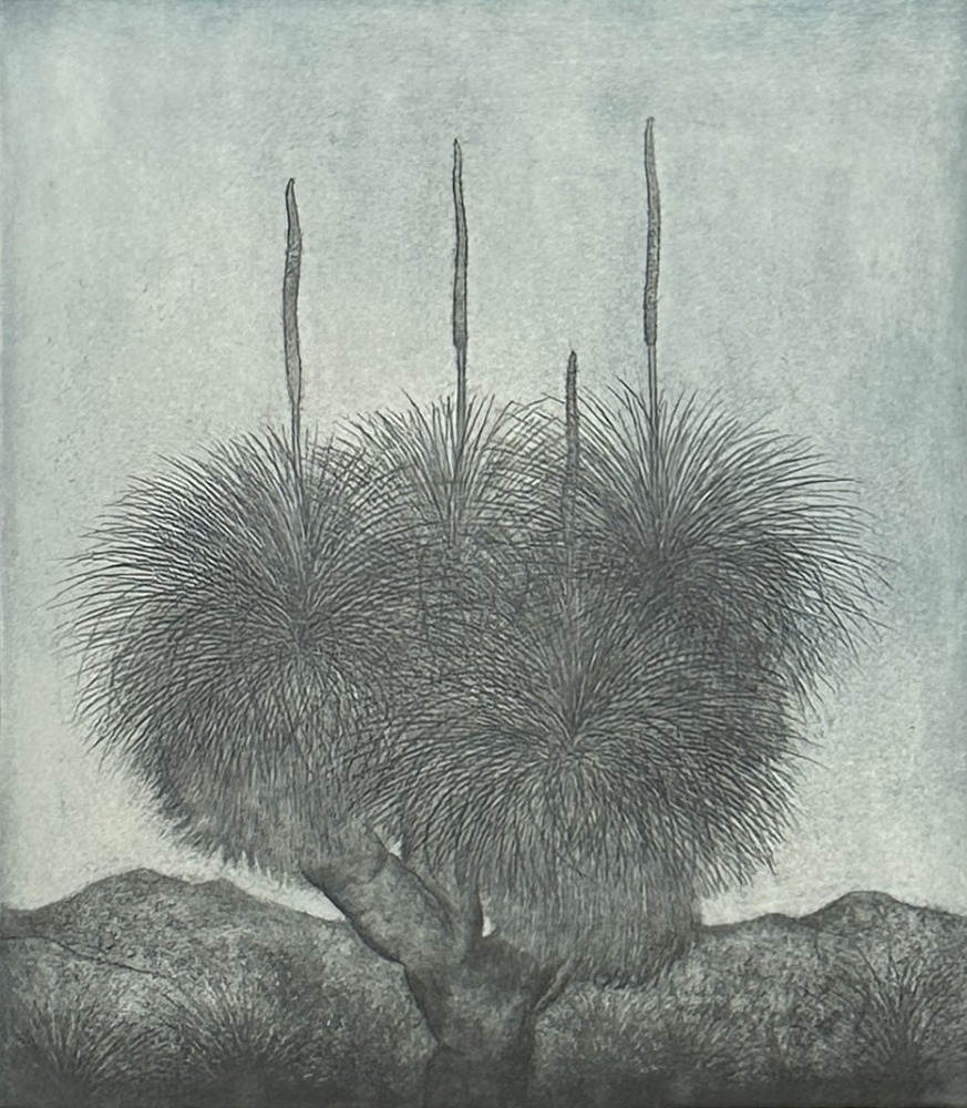 Joseph Austin | Xanthorrhoea | MutualArt