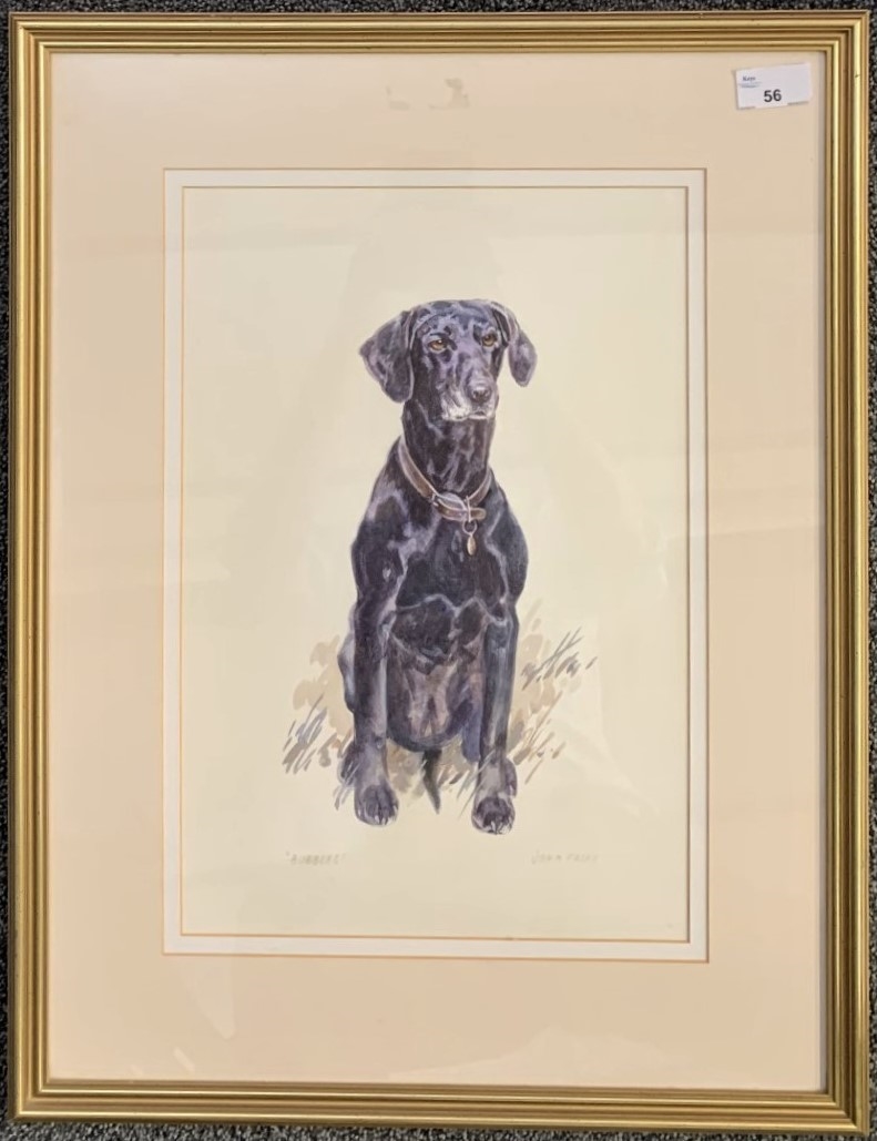 John Paley | 'Bubbles' | MutualArt