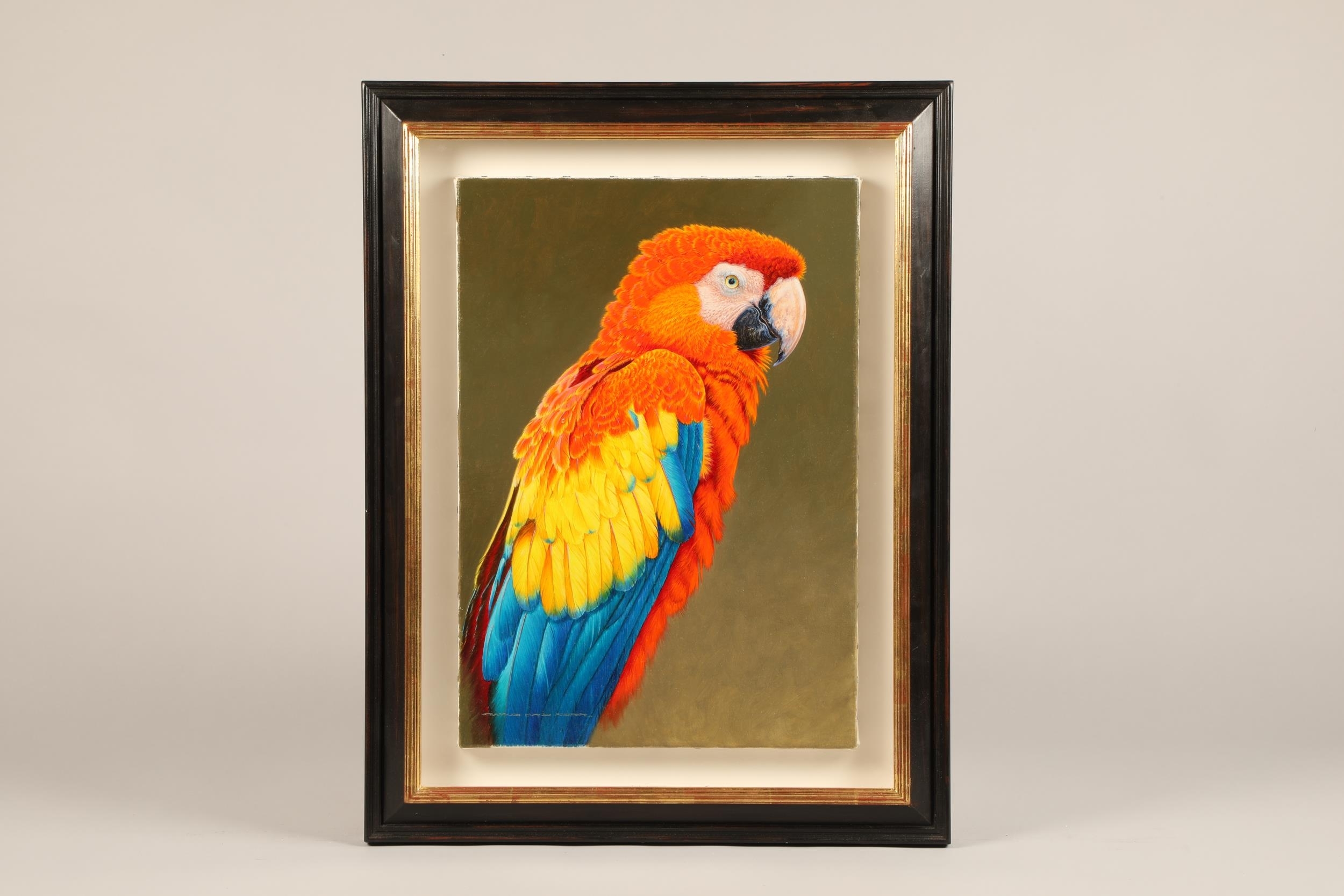 David Ord Kerr | 'Scarlet Macaw' | MutualArt