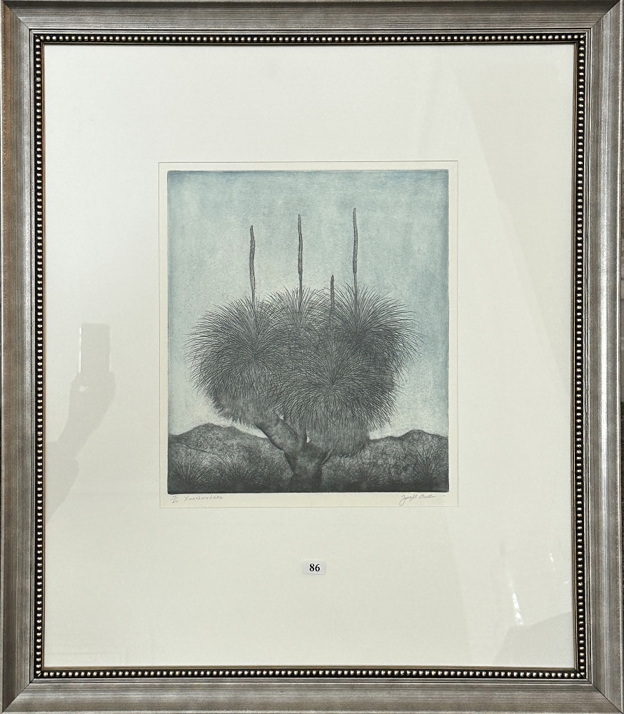 Joseph Austin | Xanthorrhoea | MutualArt