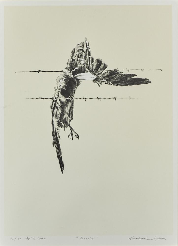 Grahame Sydney | Narrier (2002) | MutualArt