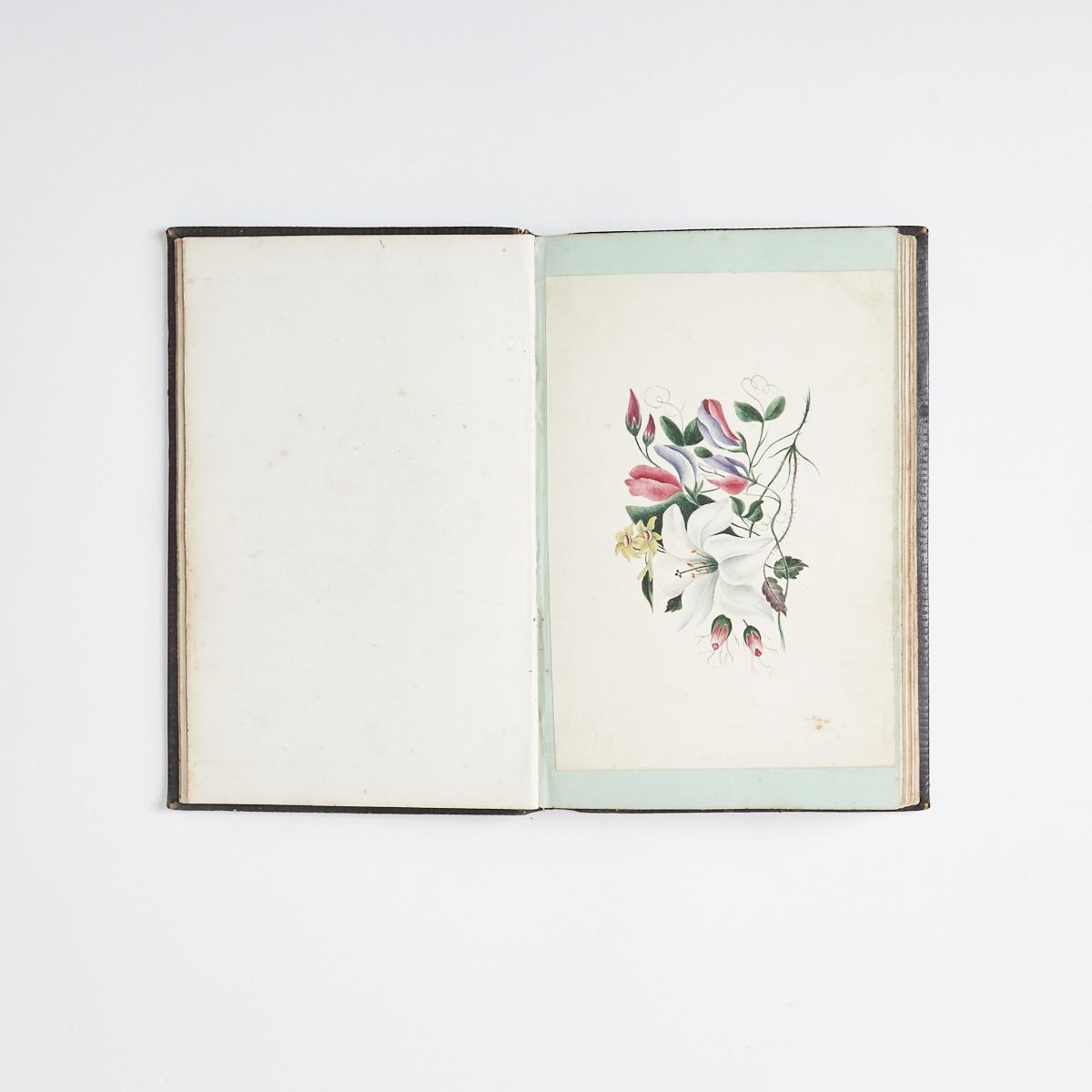 Edith Stanway Halcolme | Sketchbook | MutualArt