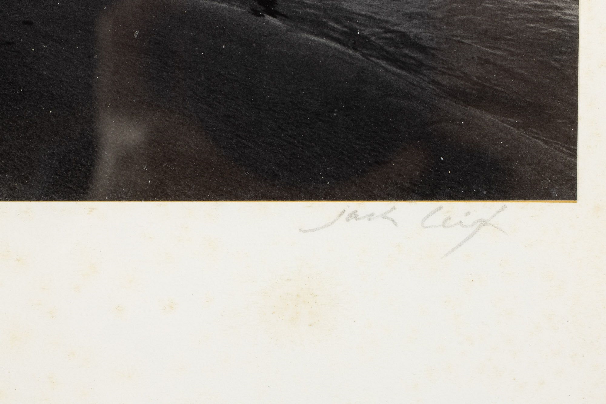 Jack Leigh | Jack Leigh, Untitled, Silver Gelatin Print (2014) | MutualArt