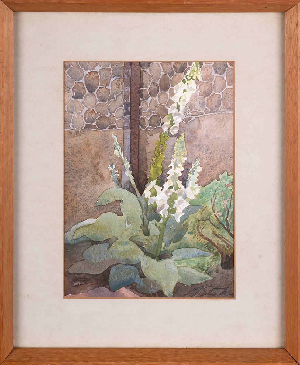 Margaret Stokes | FOXGLOVE | MutualArt