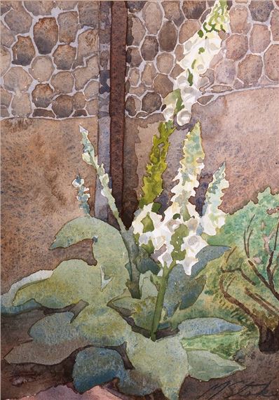 Margaret Stokes | FOXGLOVE | MutualArt