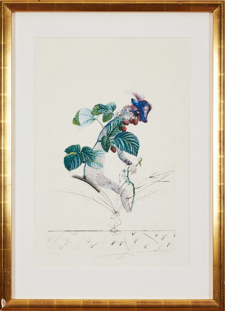 Salvador Dalí | Framboisier (Raspberry), ur: FlorDali/Les fruits (1969 ...