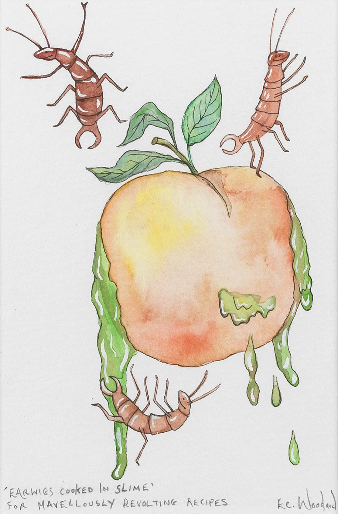 Emily Carew Woodard | Illustration for Earwigs Cooked in Slime from ...