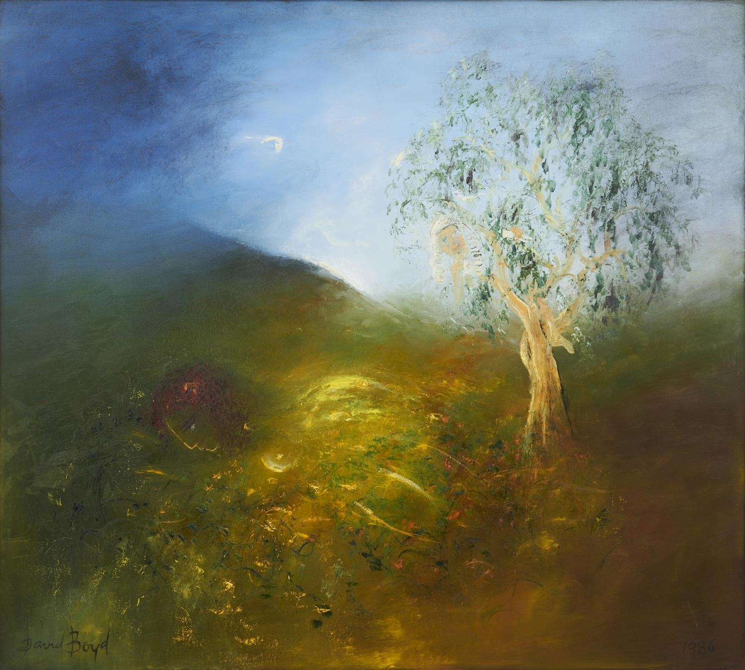 David Boyd | Judge in a Paperbark Tree 1986 (1986) | MutualArt