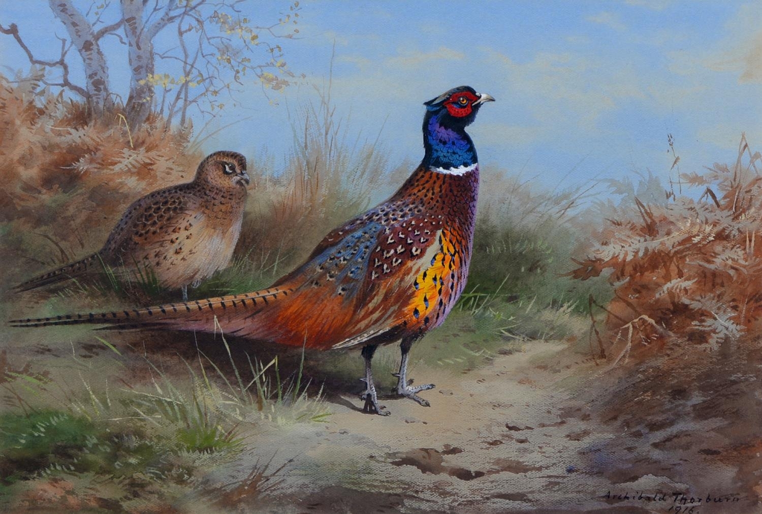 Archibald Thorburn | Pheasants | MutualArt