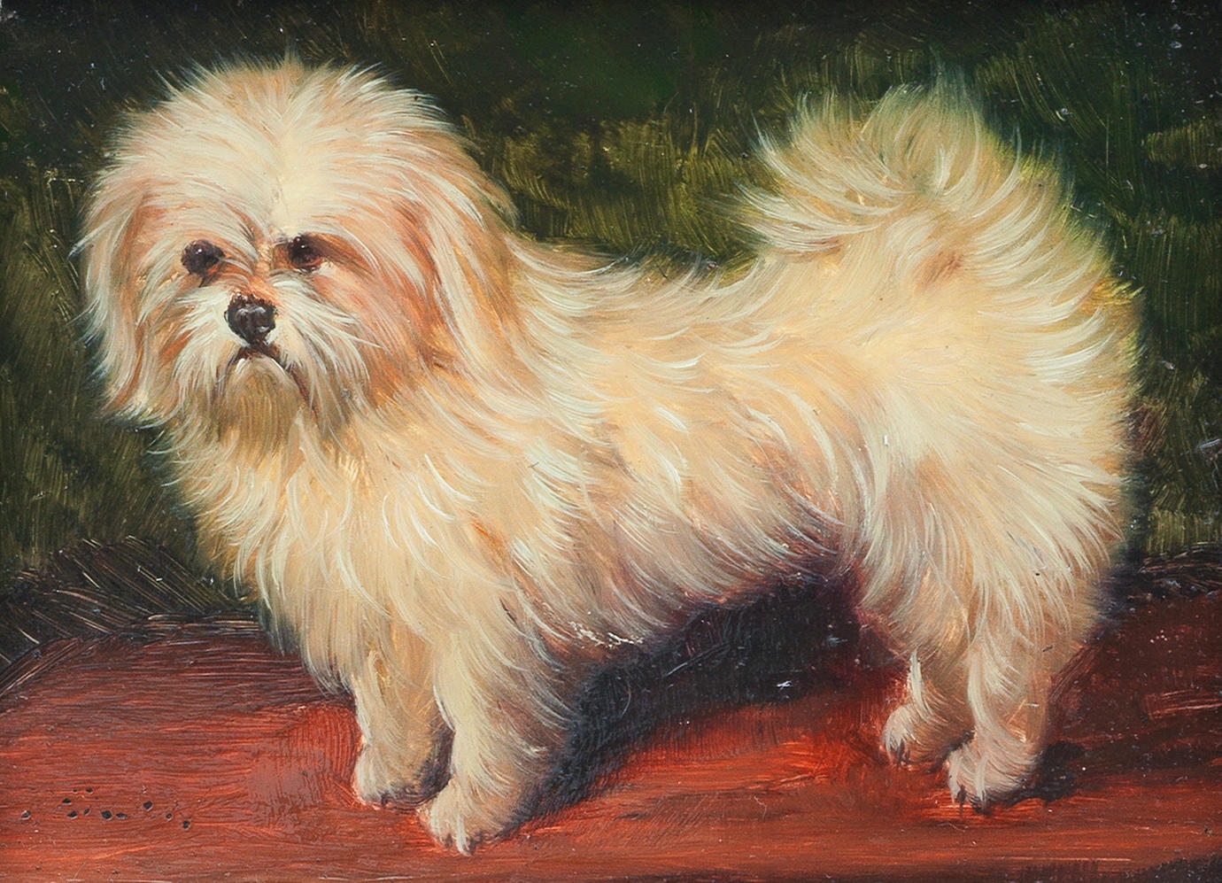 British School, 20th Century | Six Portraits of Various Dog Breeds ...