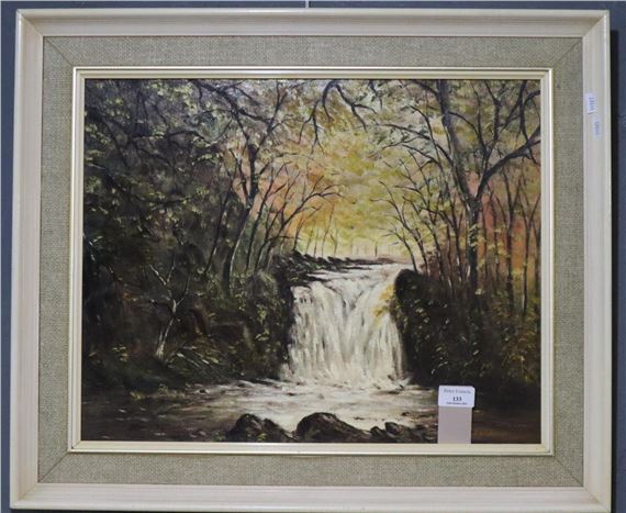 Cyril Osborne | Waterfall scene in woodland | MutualArt