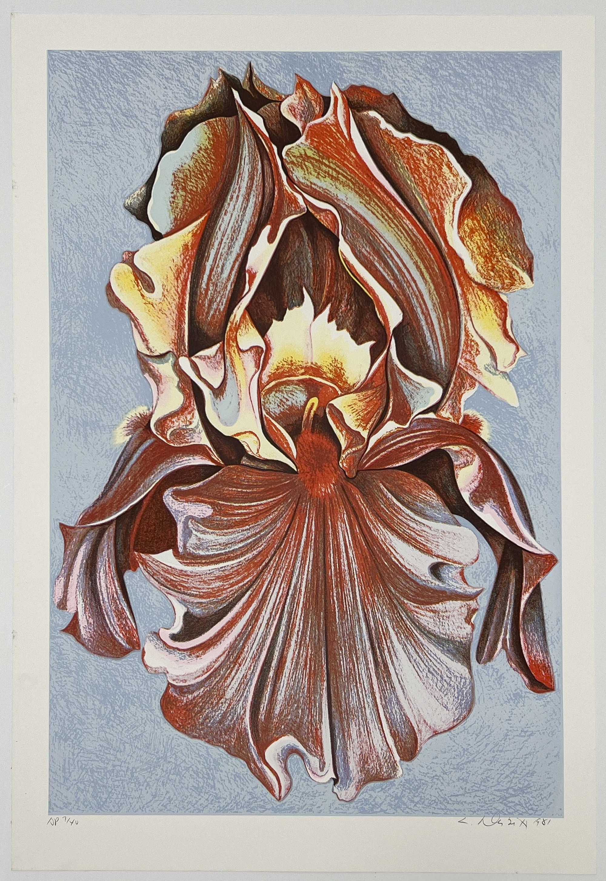 Lowell Nesbitt | White and Violet Iris / Pink Iris (7 Works) (1981/82 ...