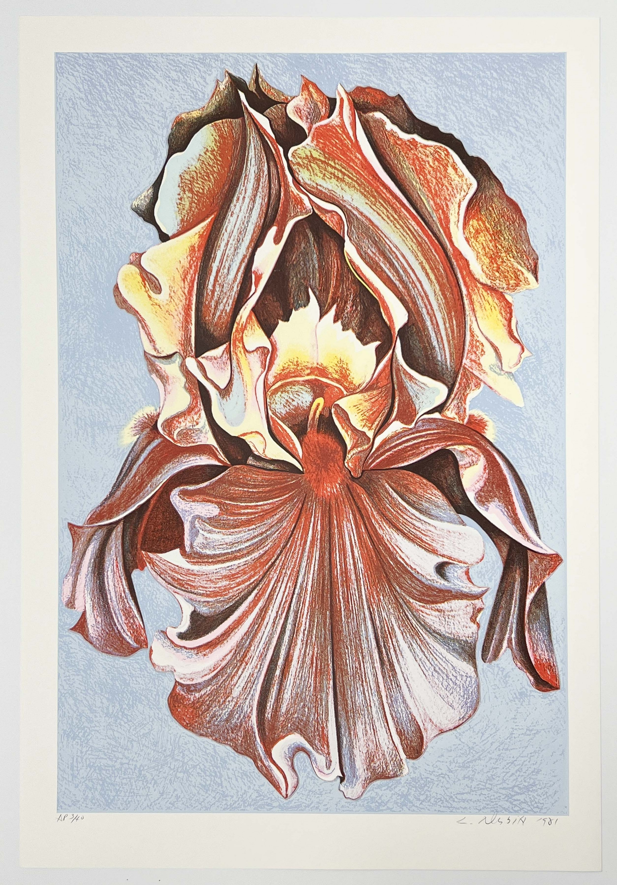 Lowell Nesbitt | White and Violet Iris / Pink Iris (7 Works) (1981/82 ...