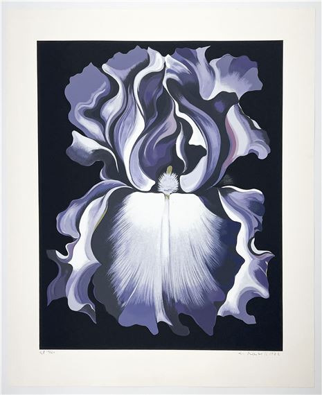 Lowell Nesbitt | White and Violet Iris / Pink Iris (7 Works) (1981/82 ...