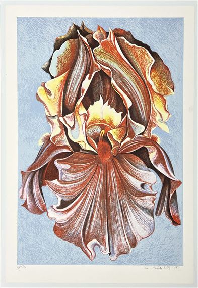 Lowell Nesbitt | White and Violet Iris / Pink Iris (7 Works) (1981/82 ...