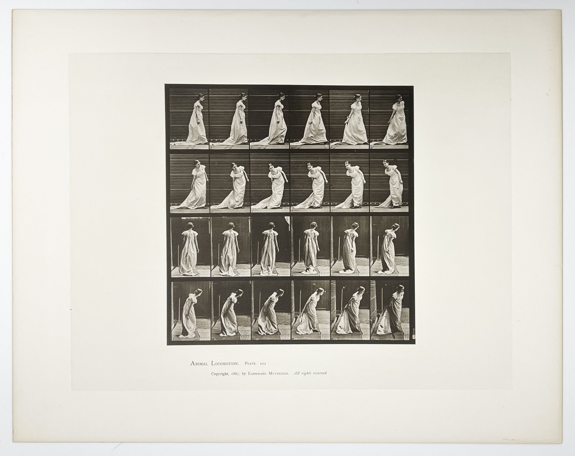 Eadweard Muybridge | Eadward Muybridge - Animal Locomotion (Plate 231 ...
