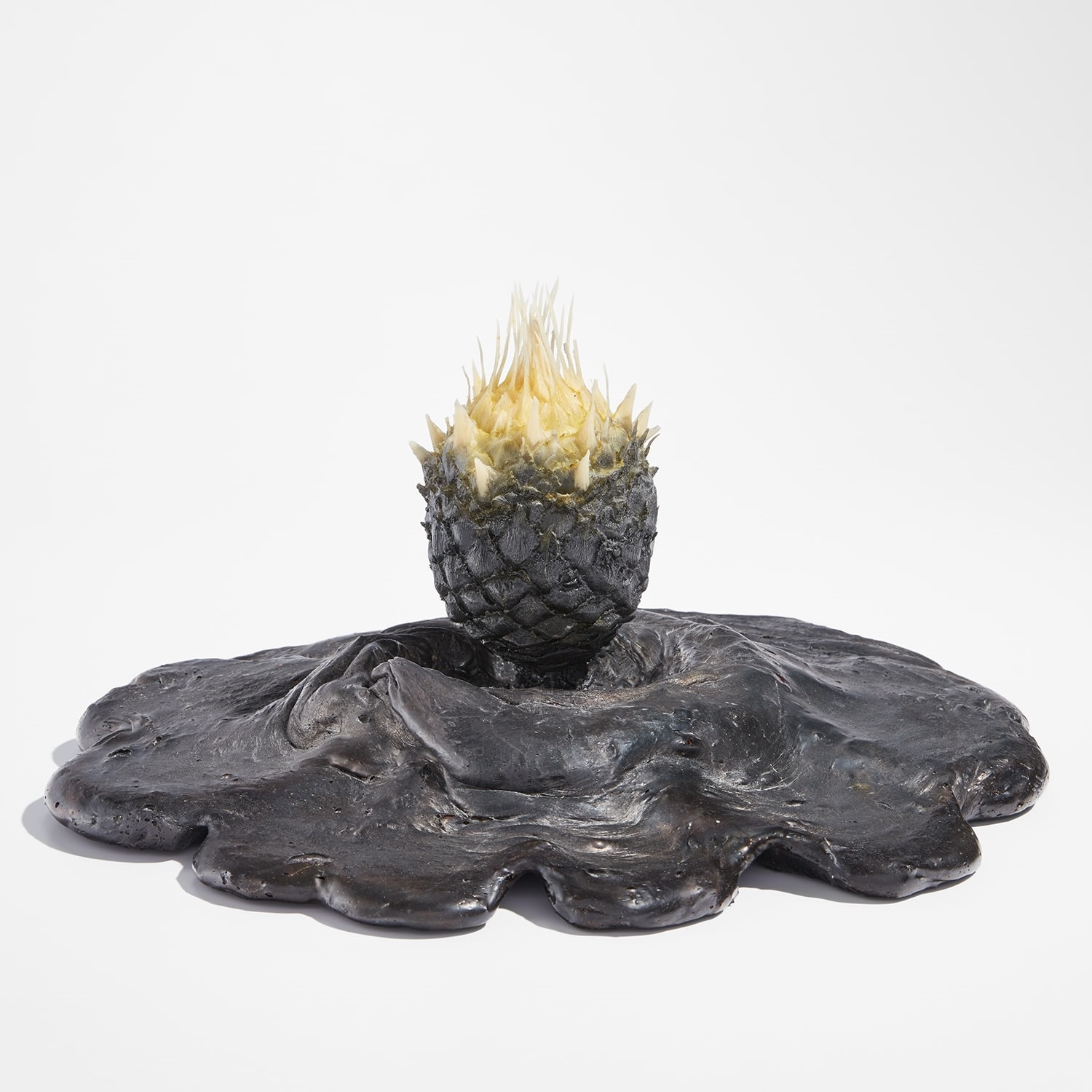 Keith Edmier | Cycas revoluta bulbil (2003) | MutualArt
