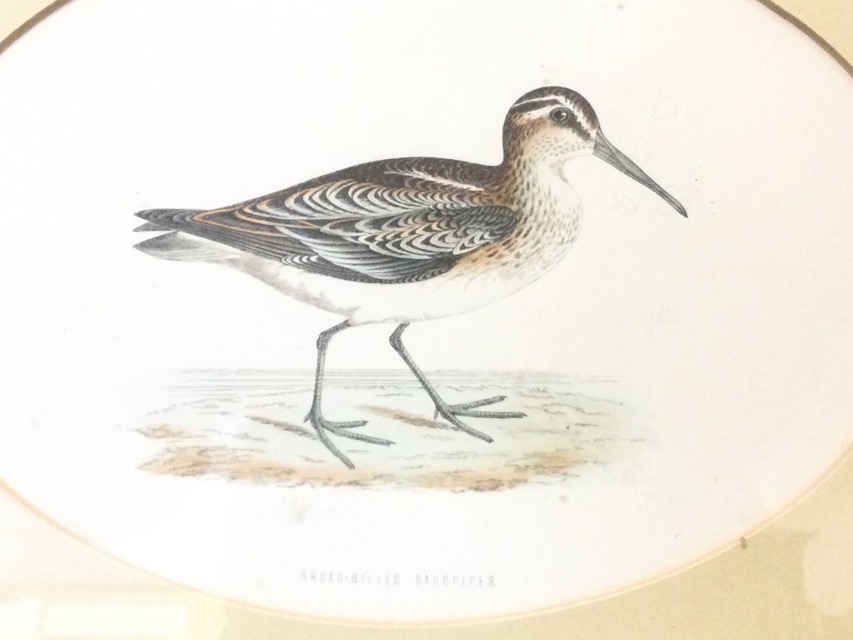 Thomas Bewick | Set Them up with a King Indeed | MutualArt