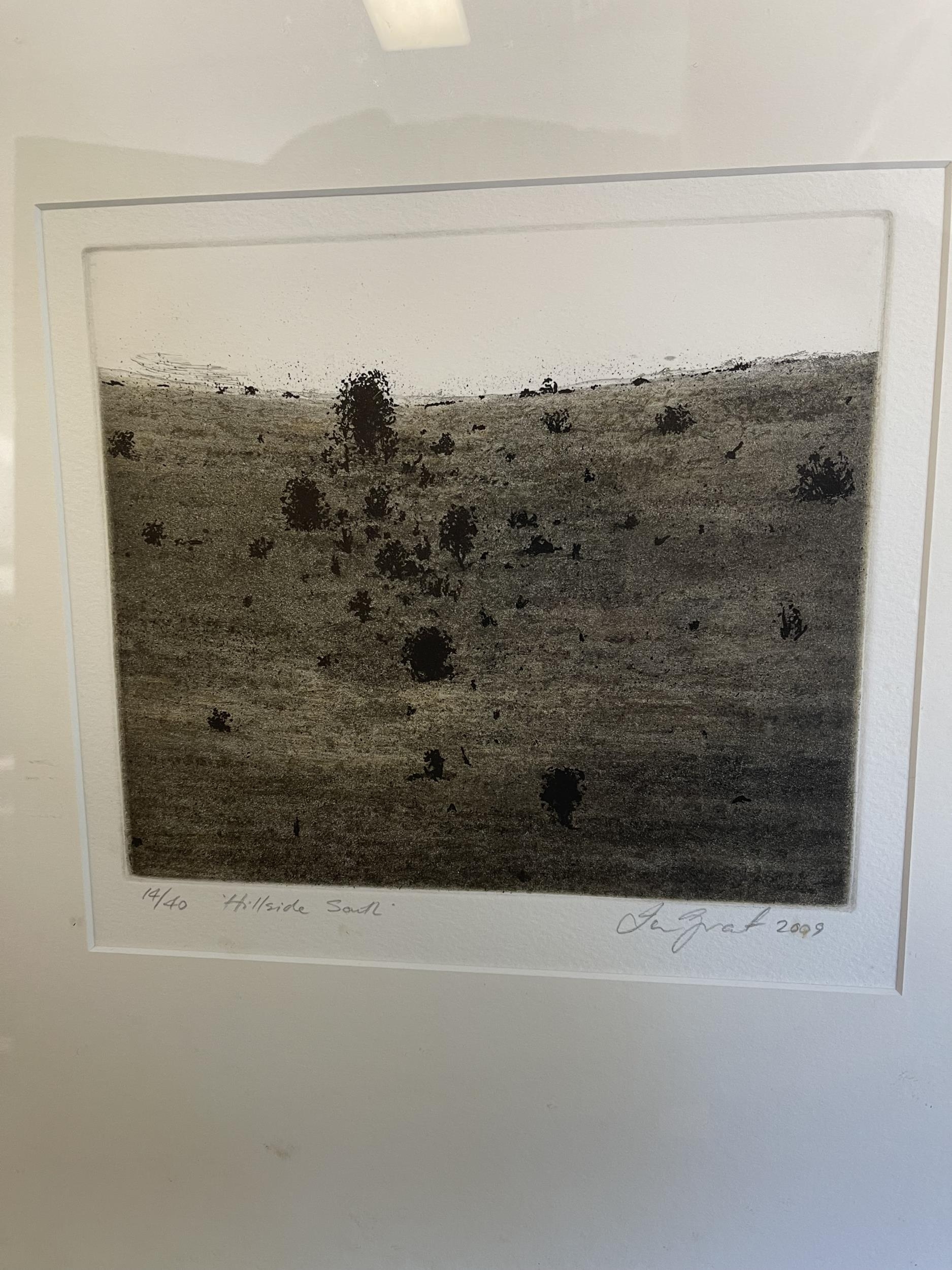 Ian Grant | Hillside South (2009) | MutualArt