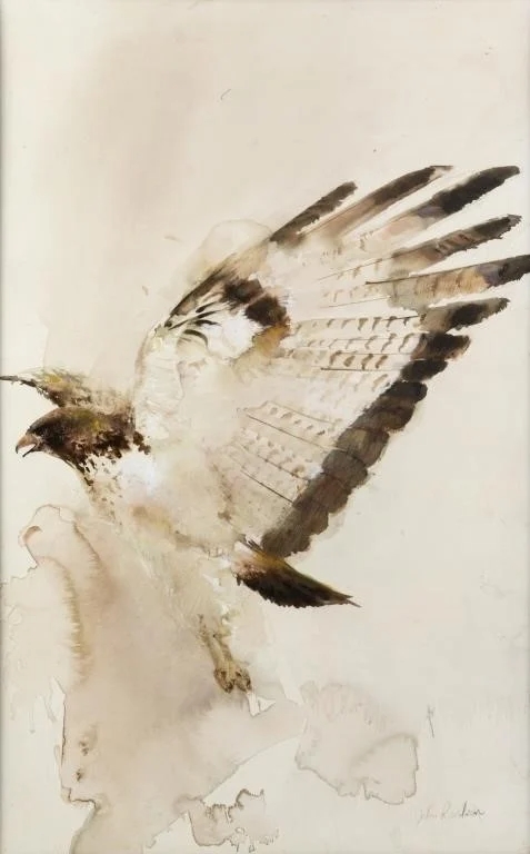 John R. Wilson | Red-Tailed Hawk | MutualArt