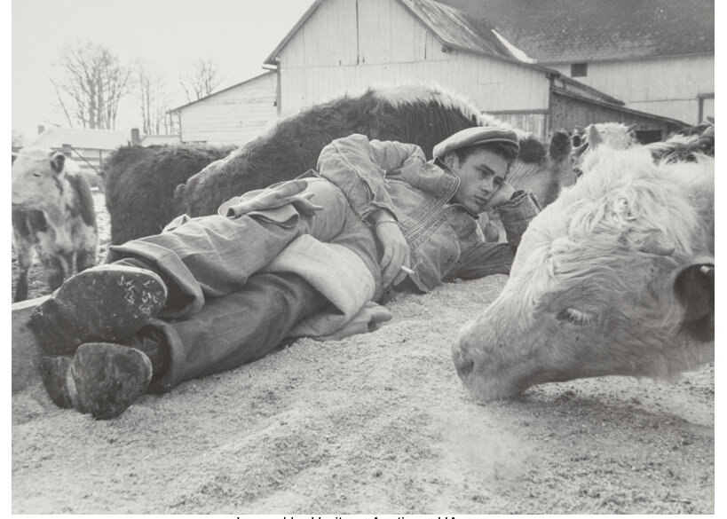 Dennis Stock | James Dean Playing the Conga and Feeding the Cows on His ...