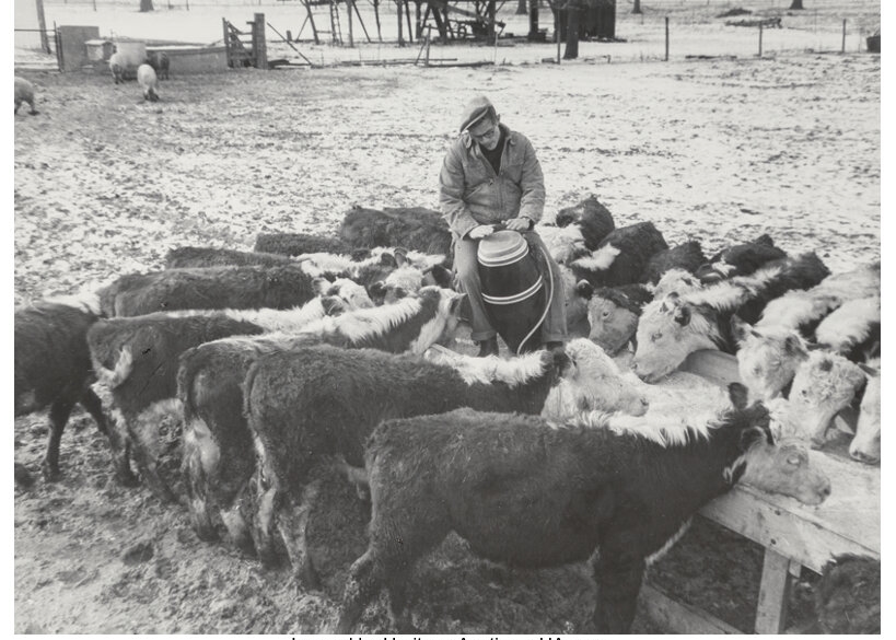 Dennis Stock | James Dean Playing the Conga and Feeding the Cows on His ...