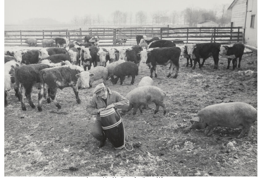 Dennis Stock | James Dean Playing the Conga and Feeding the Cows on His ...