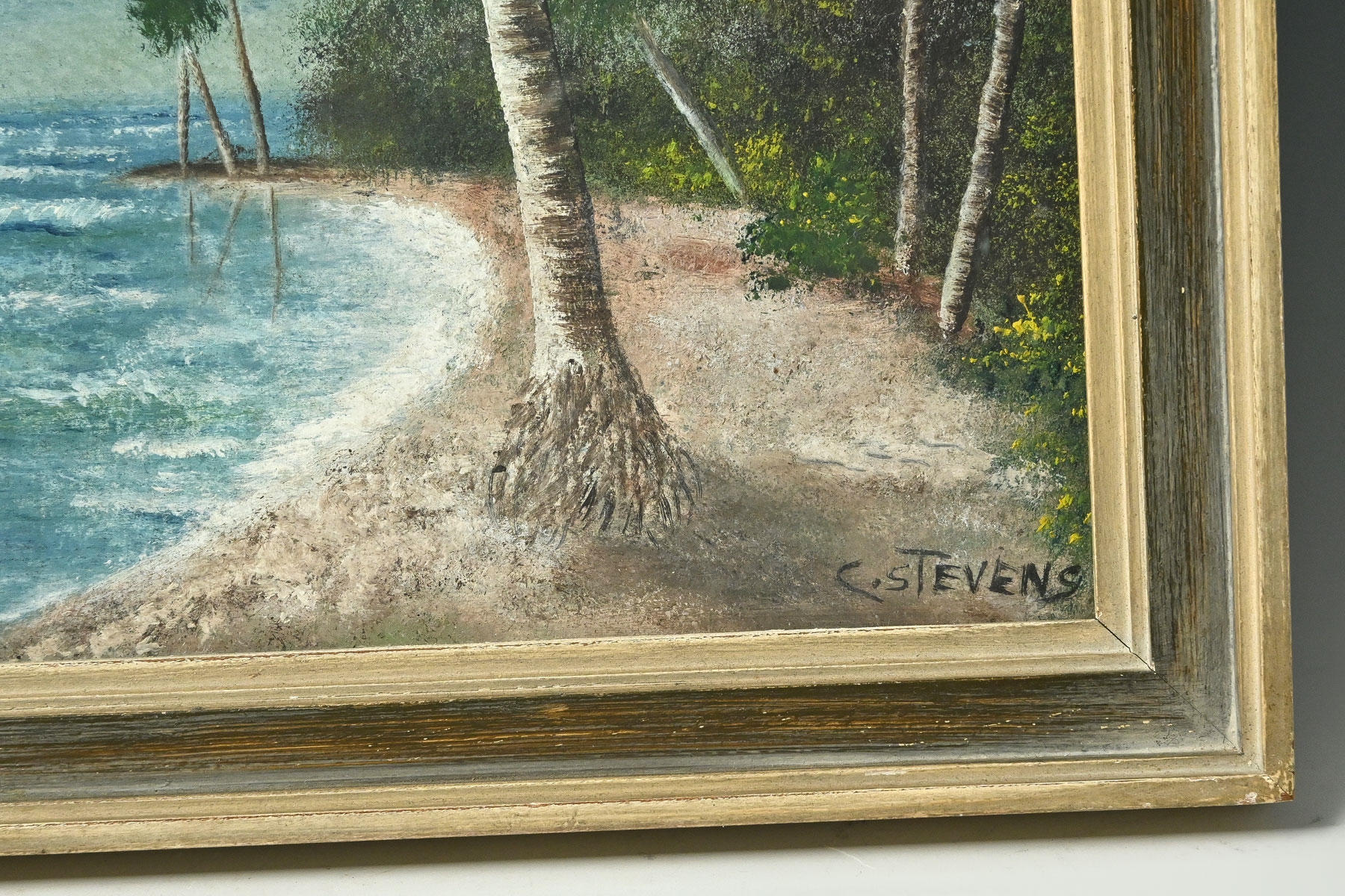 C.stevens | FLORIDA BEACH SCENE | MutualArt