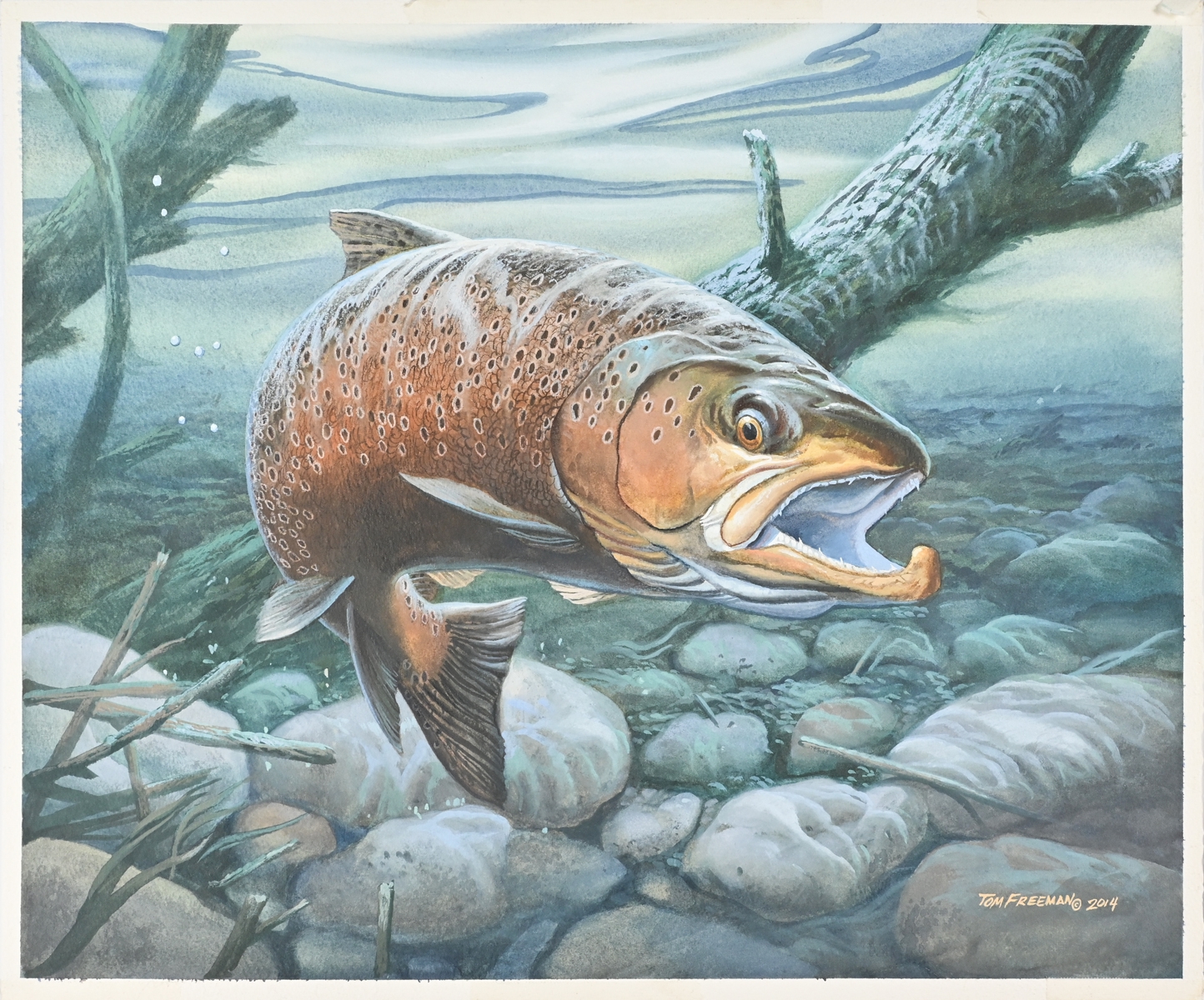 Tom Freeman | Brook Trout (1952) | MutualArt