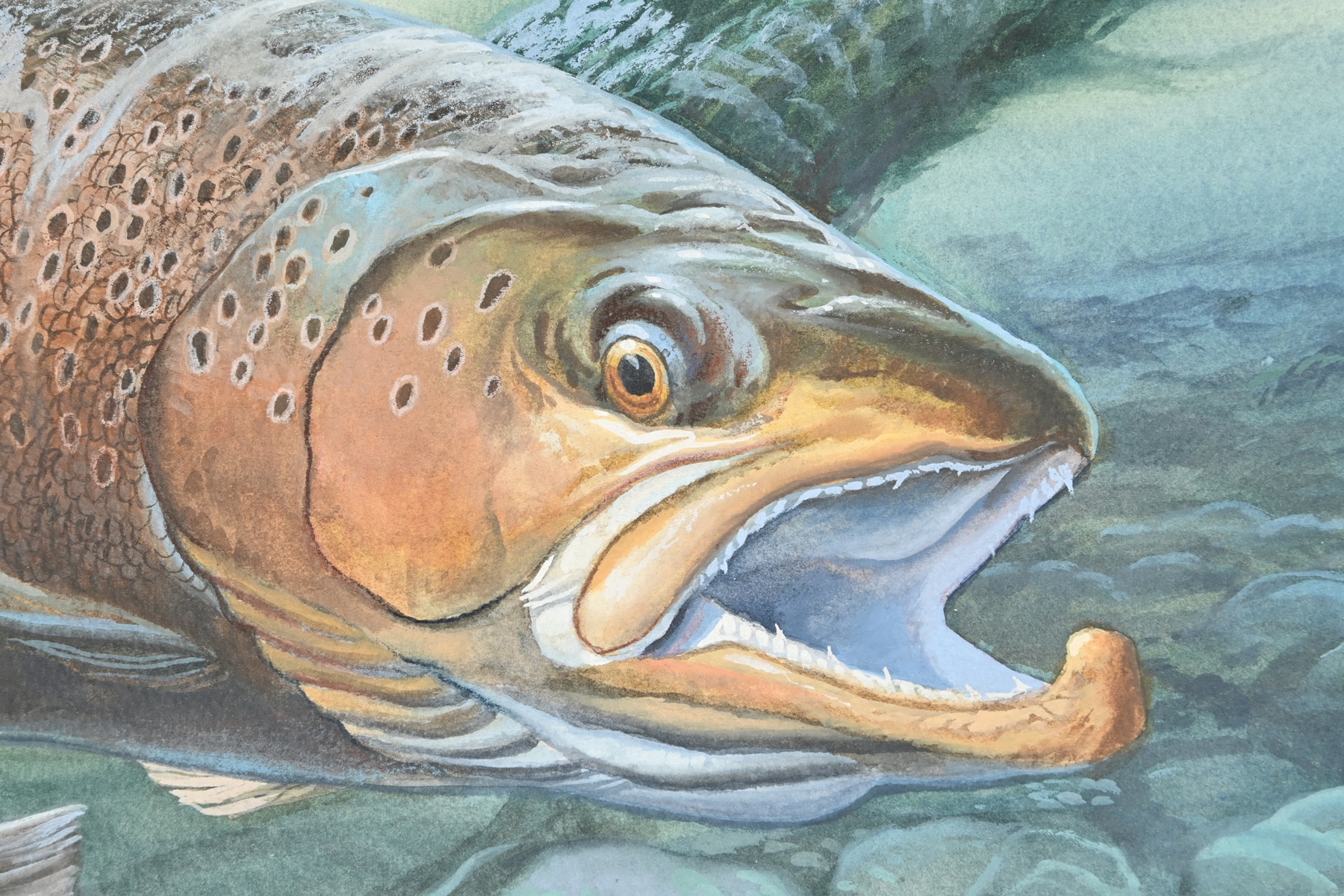 Tom Freeman | Brook Trout (1952) | MutualArt