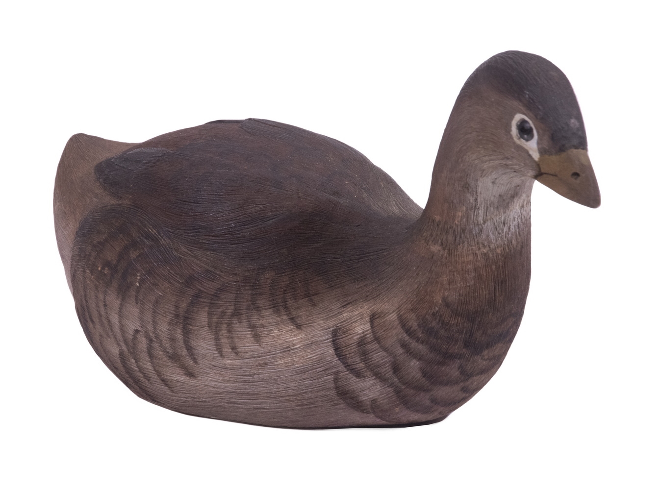 Ken Gleason | Female Coot (1975) | MutualArt