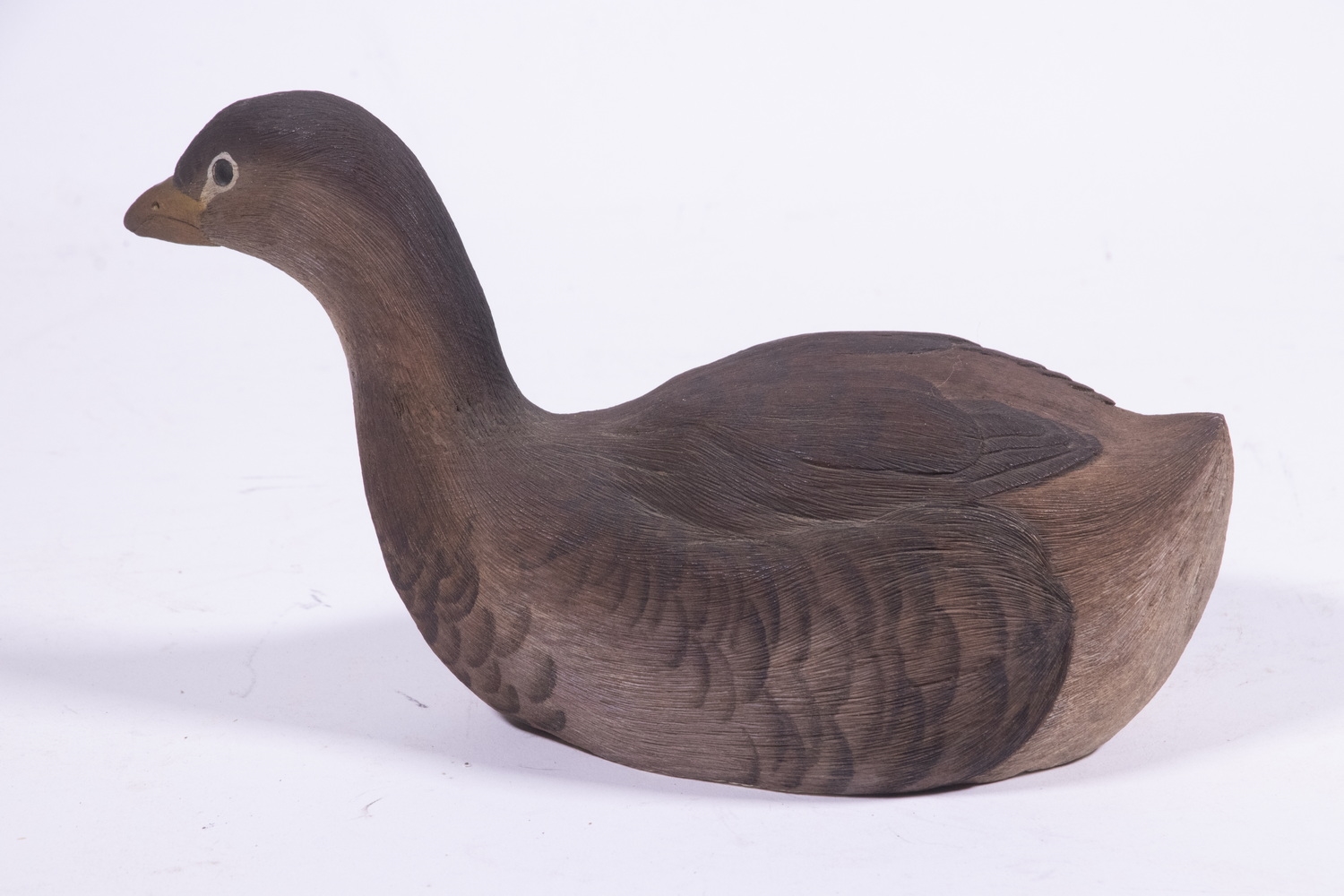 Ken Gleason | Female Coot (1975) | MutualArt