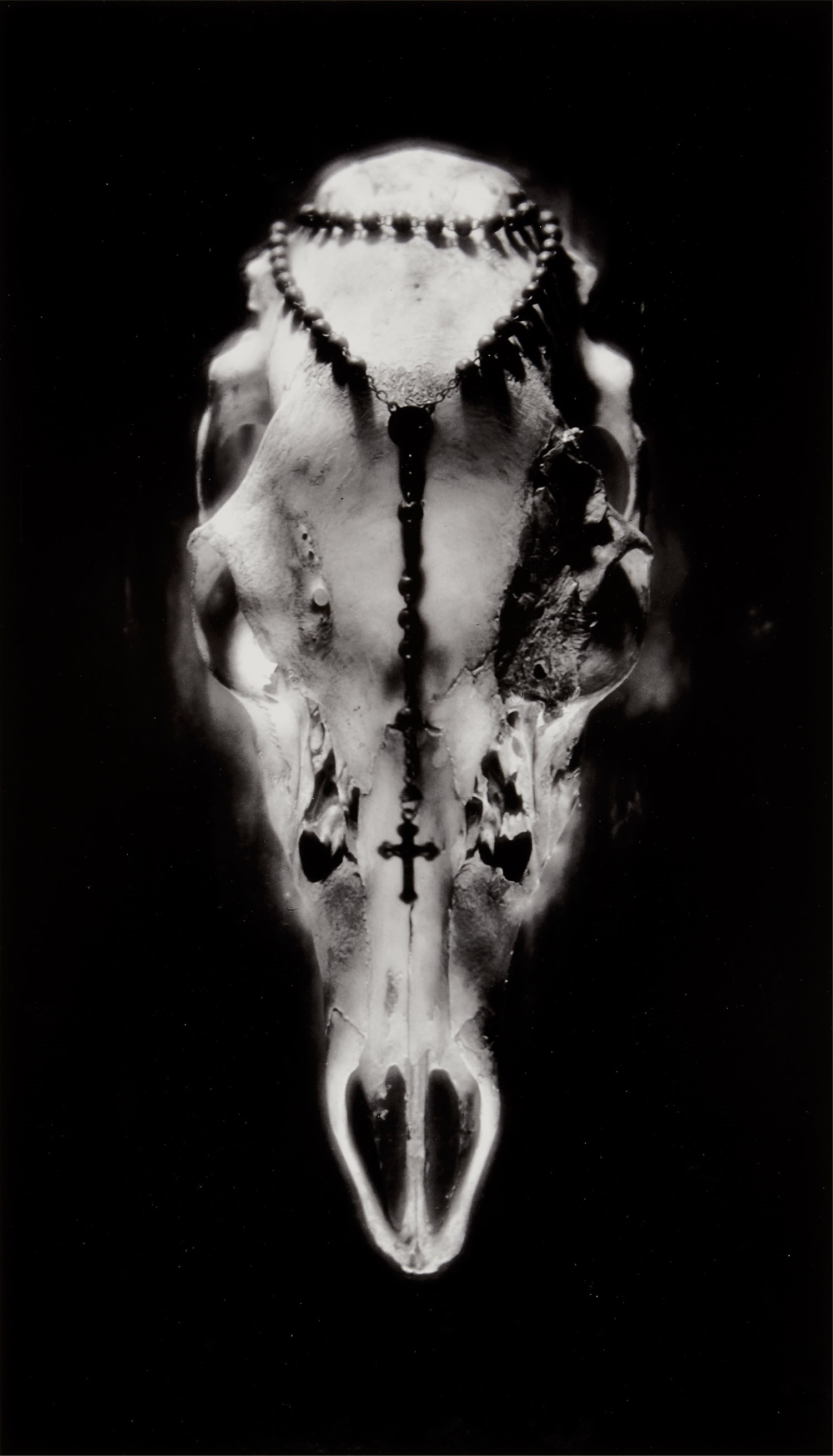 Ruth Bernhard | Skull and Rosary (1945) | MutualArt