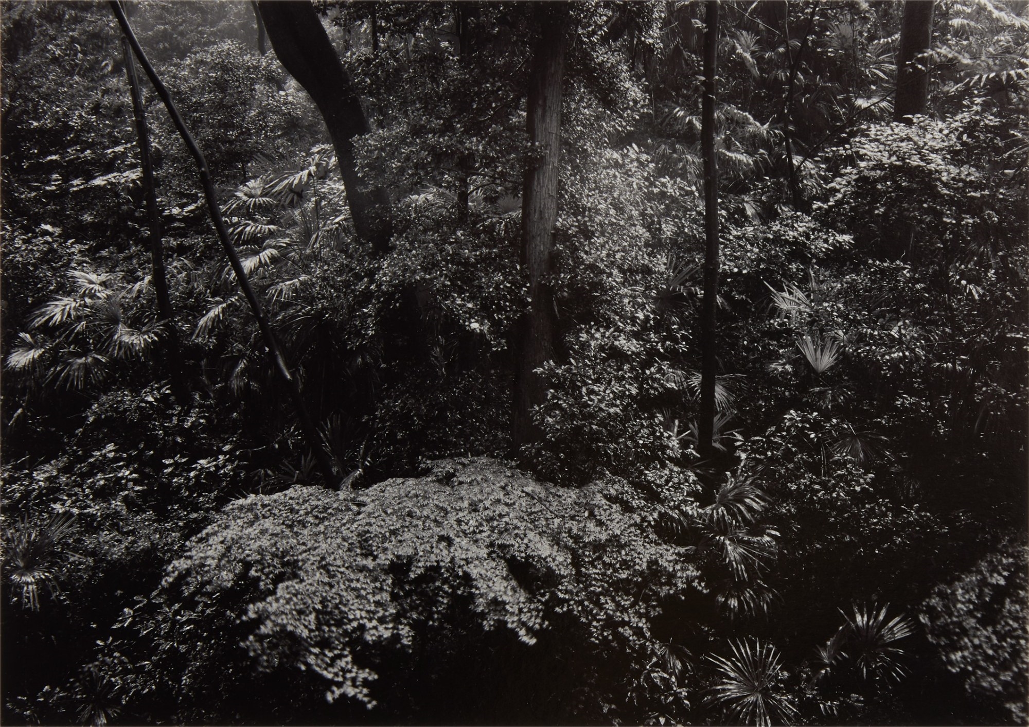 Thomas Joshua Cooper | Five Selected Images | MutualArt