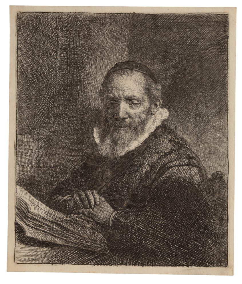 Rembrandt van Rijn | 'Jan Cornelis Sylvius' | MutualArt