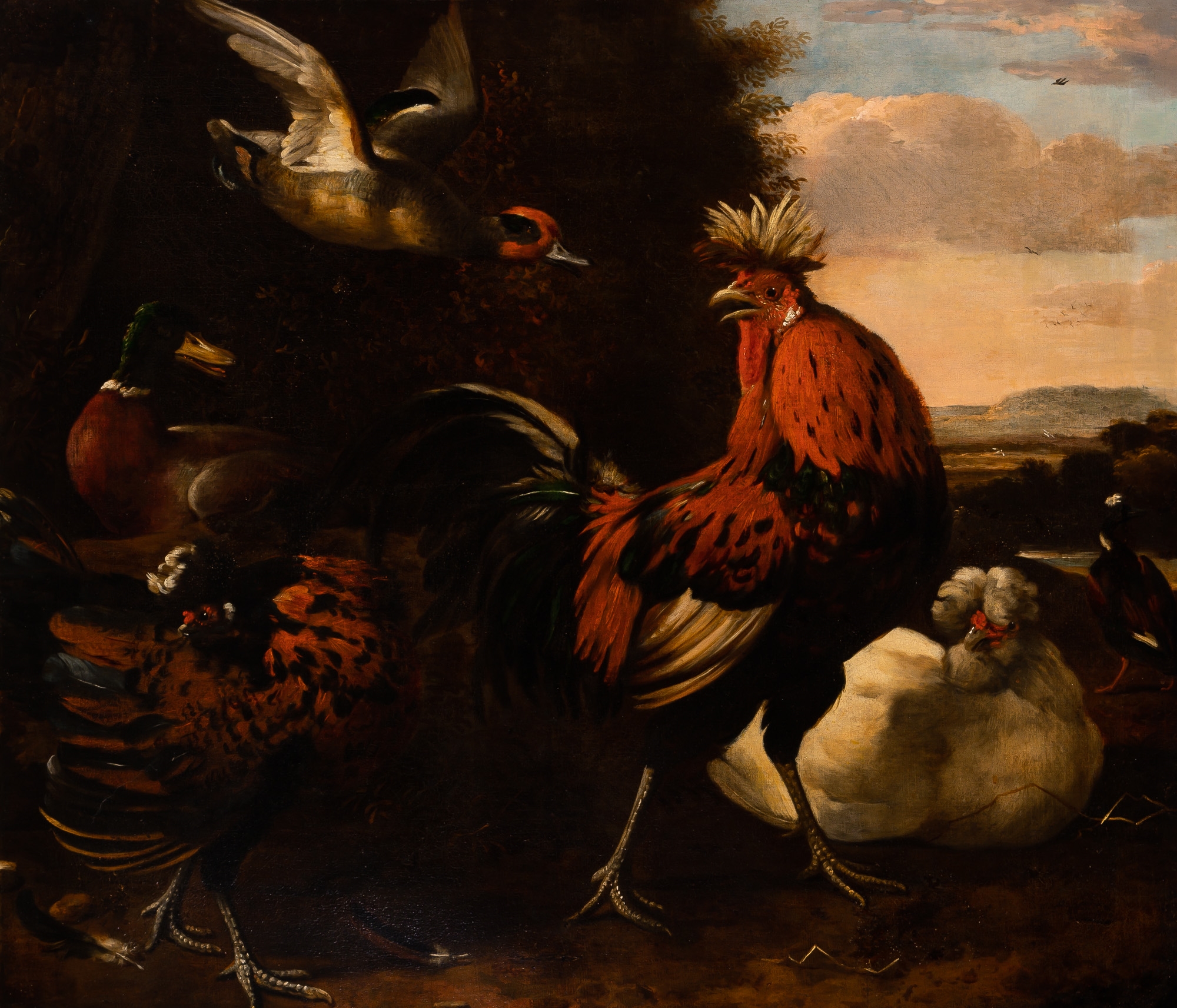 Melchior D'Hondecoeter | Fancy Chickens with Ducks in a Landscape ...