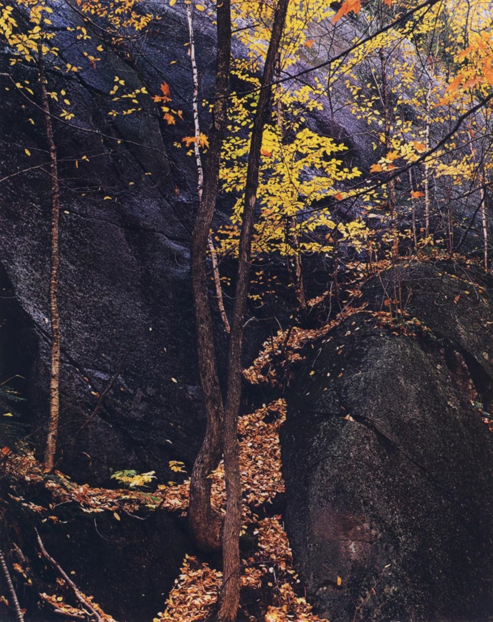 Eliot Porter | Adirondacks | MutualArt