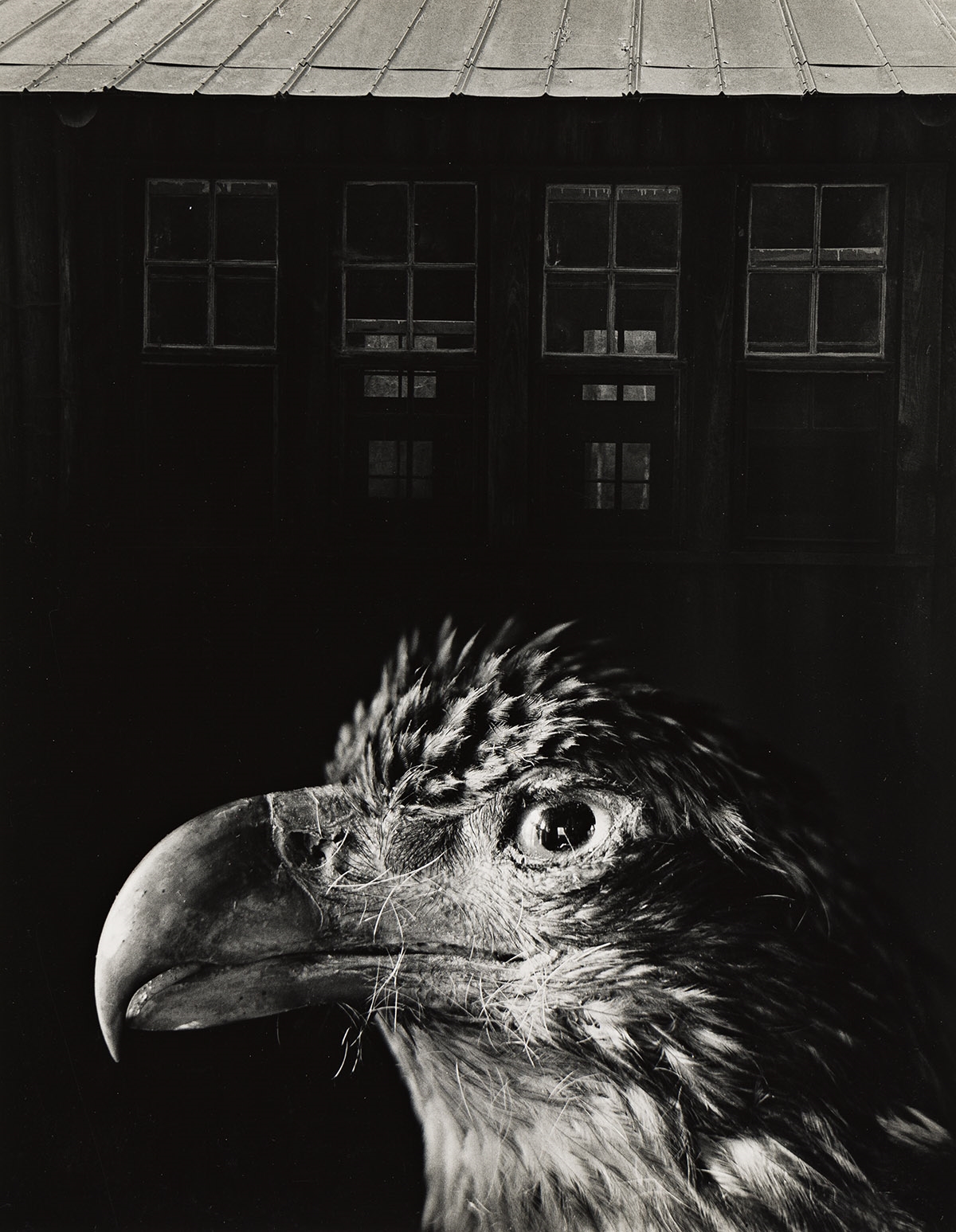Jerry Uelsmann | JERRY UELSMANN (1934-2022) (1934) | MutualArt