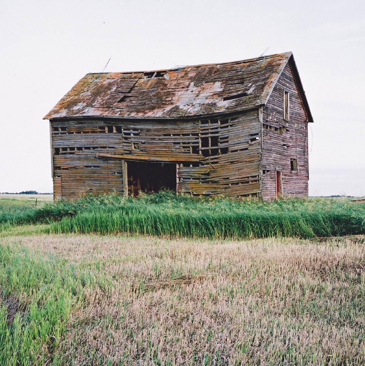 Jeff Brouws | Farm Forms Portfolio. | MutualArt
