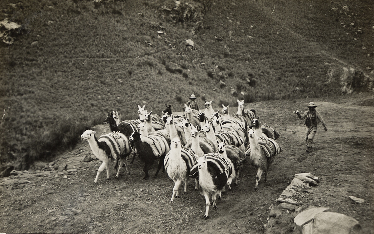 Martin Chambi | A selection of 16 photographs, including indigenous ...