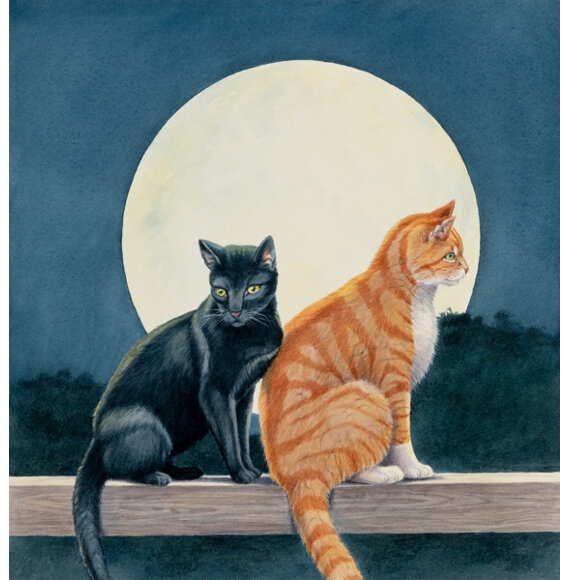 Peter Barrett | Tinker and Midnight on the Farm Fence, A Day in the ...